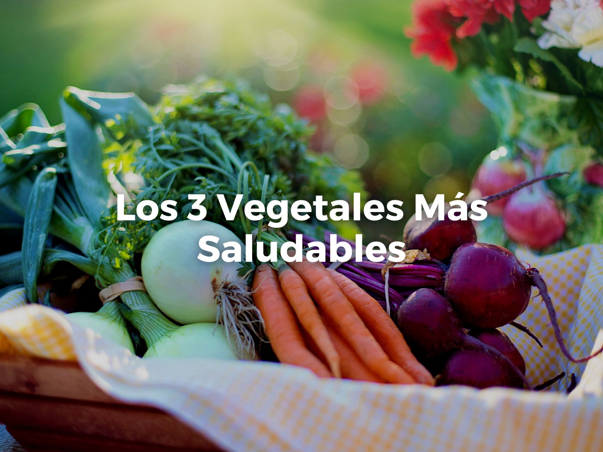 Los 3 Vegetales Más Saludables y sus Beneficios
